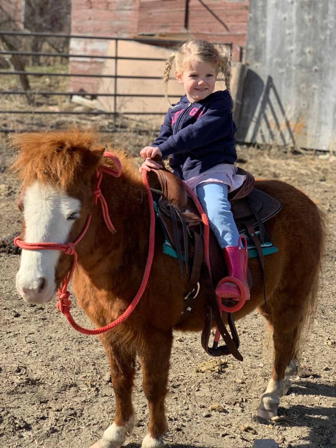 Shifting winds of confidence… | Meanwhile, back at the ranch…