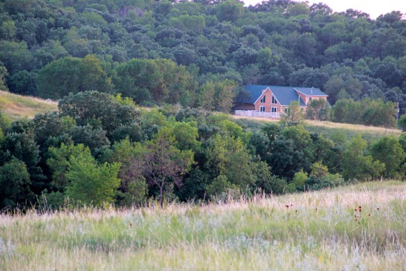 Meanwhile, back at the ranch… | music, poetry, musings, photography and ...