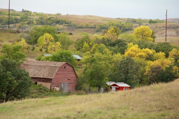 “Prairie Princess” Children’s Book Release | Meanwhile, back at the ranch…
