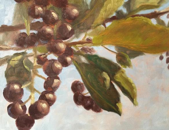 “Prairie Princess” Children’s Book Release | Meanwhile, back at the ranch…