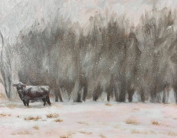 “Prairie Princess” Children’s Book Release | Meanwhile, back at the ranch…