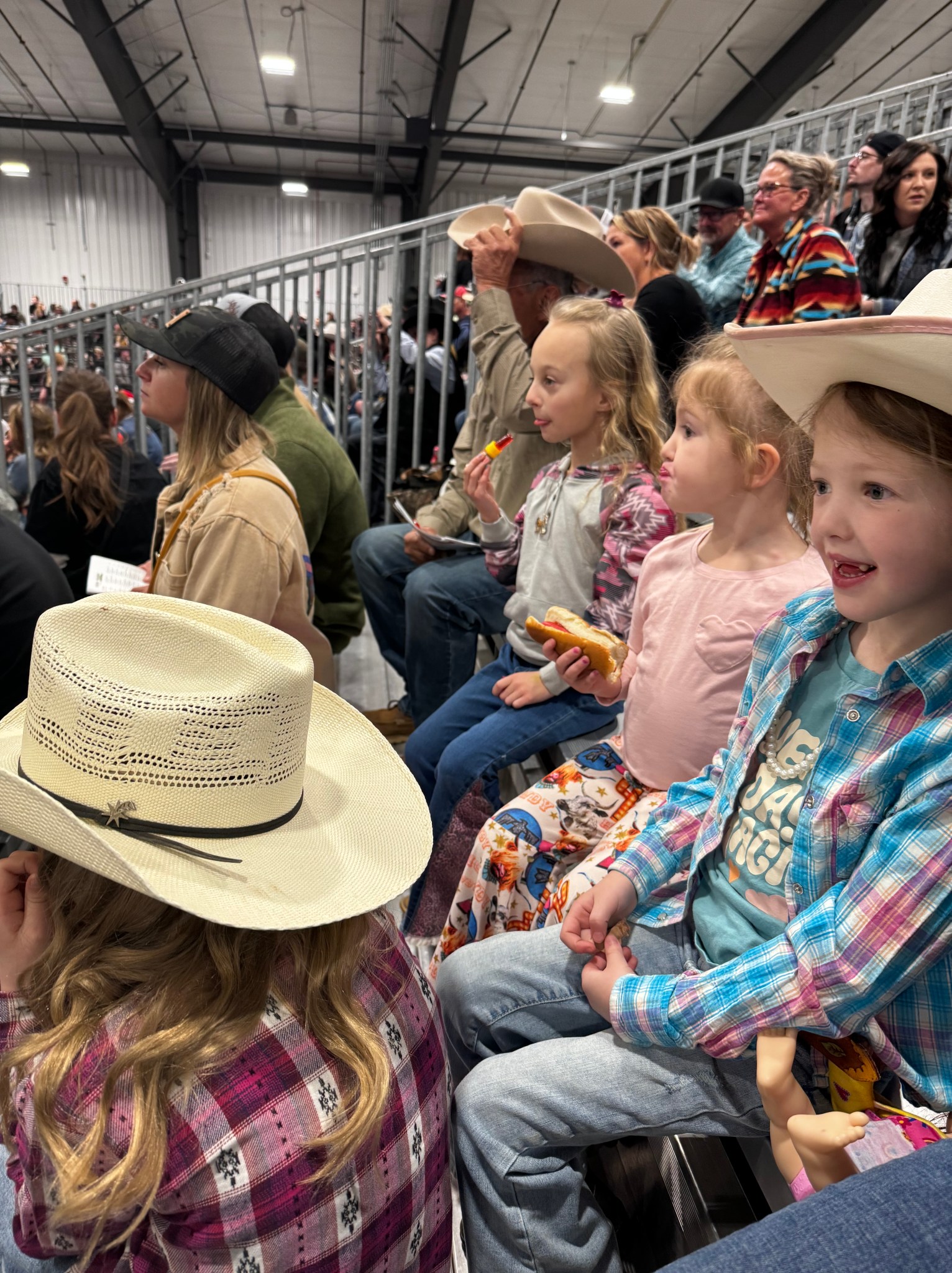 ranch life | Meanwhile, back at the ranch…