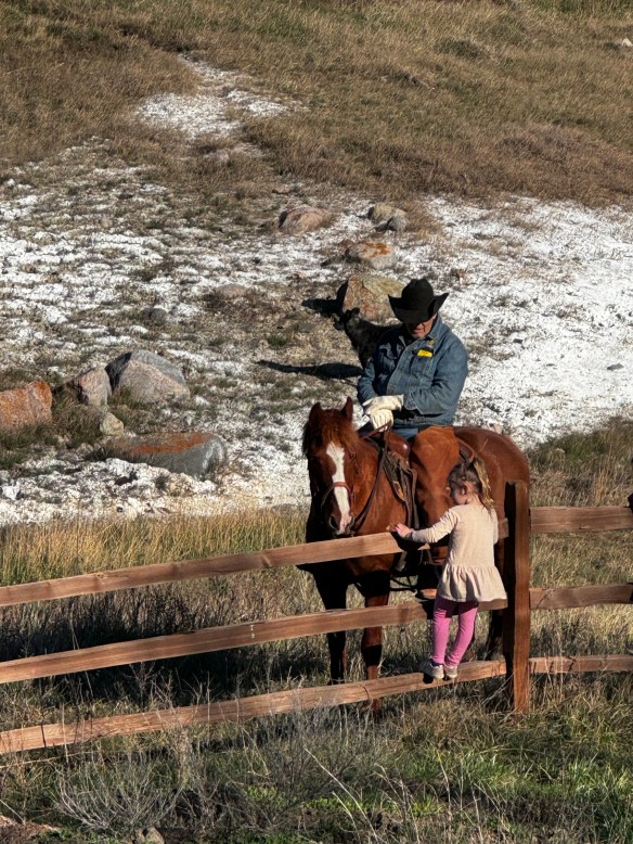 Meanwhile, back at the ranch… | music, poetry, musings, photography and ...