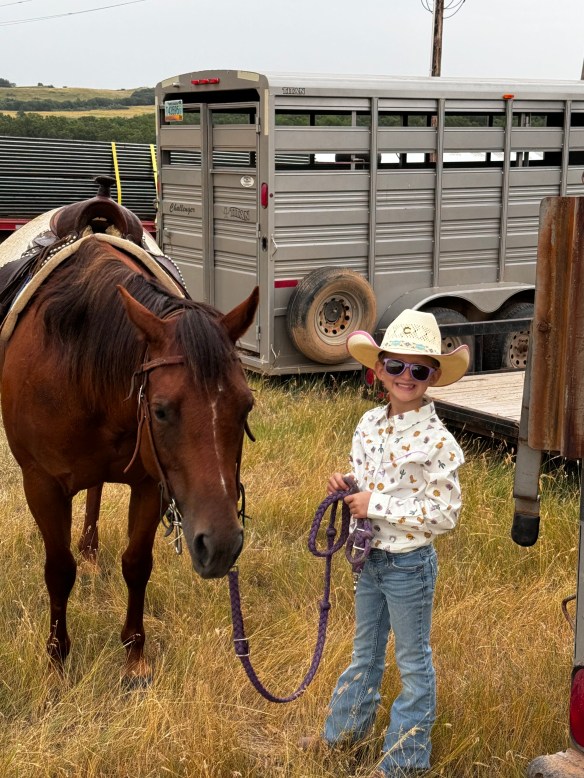 Meanwhile, back at the ranch… | music, poetry, musings, photography and ...