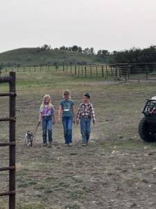 Meanwhile, back at the ranch… | music, poetry, musings, photography and ...