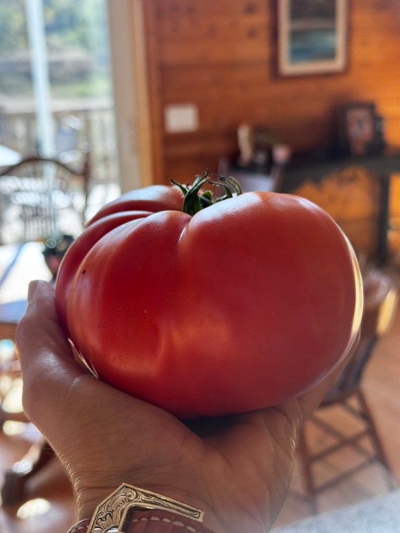 Meanwhile, back at the ranch… | music, poetry, musings, photography and ...